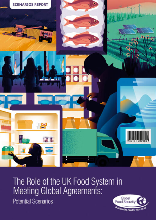 The Role of the UK Food System in Meeting Global Agreements - Futuribles